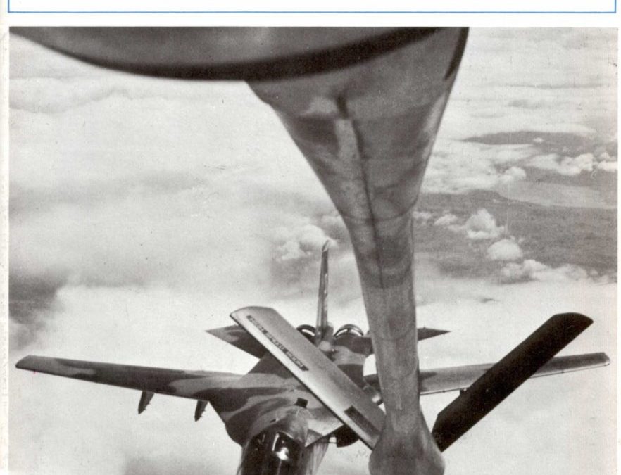 Aircraft_Profile_259_General_Dynamics_F-111A-cover - Flight Manuals